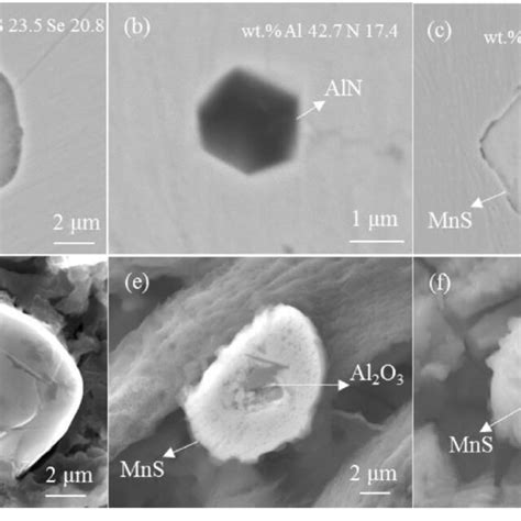 2d And 3d Morphologies And Chemical Compositions Of Typical Inclusions