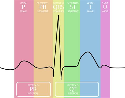 Medici N De Pulso Card Aco Con Sensor Ad Y Arduino Ide Hue Cat