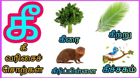 கீ வரிசைச் சொற்கள் அடிப்படை தமிழ் Thamil Alphabets Letters