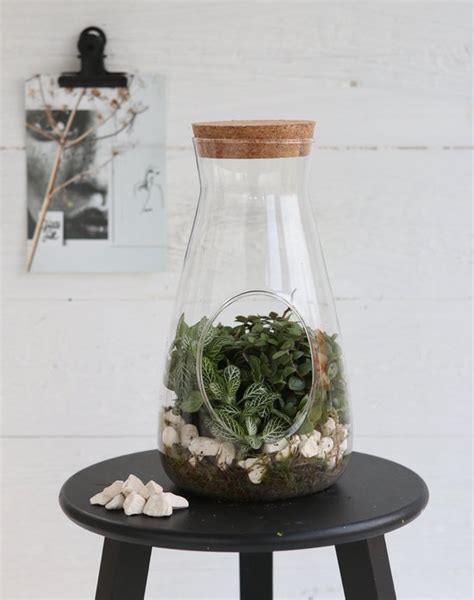 Glazen Vaas Met Kurk Ecosysteem Terrarium Transparant Ø12 H22