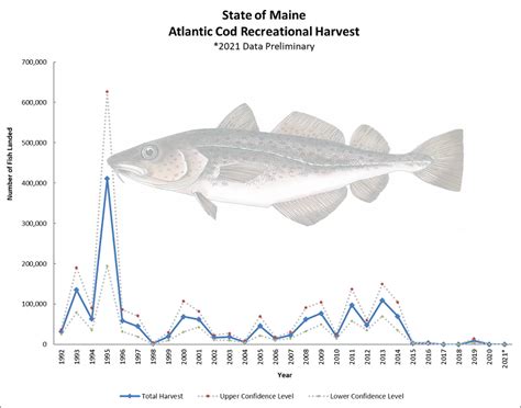 Recreational Landings Of Atlantic Cod Department Of Marine Resources