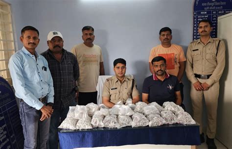 देवास का कंजर गिरोह गुजरात से 1400 किलो चांदी चुरा लाया था भाजपा नेता