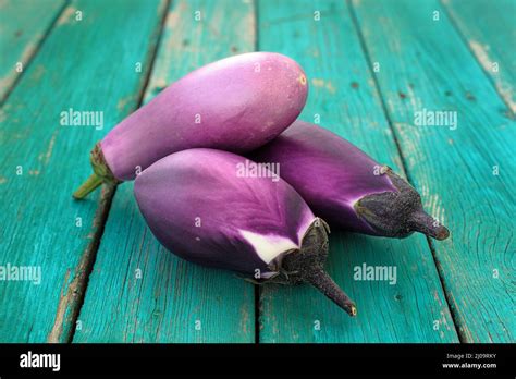 Three Whole Fresh Organic Violet Aubergines On Old Turquoise Table