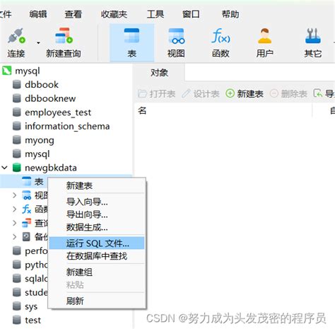 （已解决）navicat中如何正确简单导入sql文件（详细步骤）navicat导入sql文件 Csdn博客