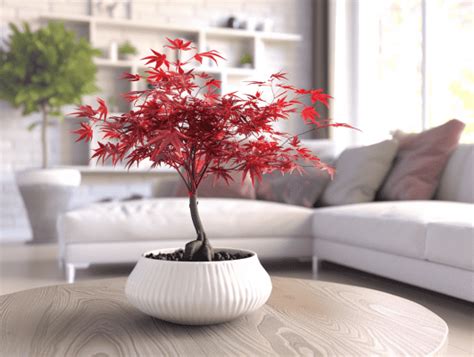 Indoor Tree Designs That Revolutionize Room Flow While Creating Vertical Drama