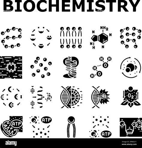 Biotechnology Chemistry Science Icons Set Vector Stock Vector Image
