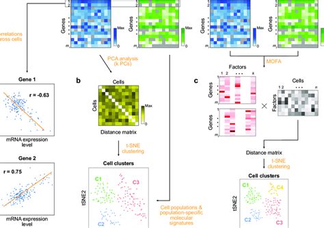 Strategies For The Integrative Analysis Of Single Cell Multiomics Data Download Scientific