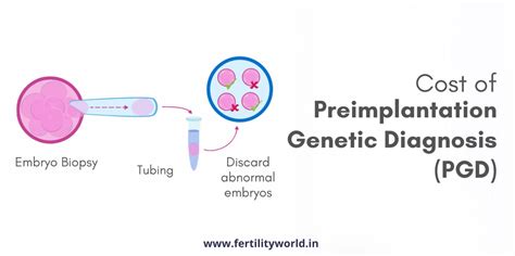 Ivf Cost In The Philippines Fertilityworldivf