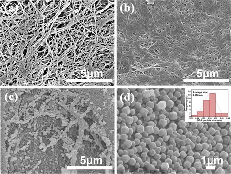 Zeolitic Imidazolate Framework 8 Modified Bacterial Cellulosesodium Alginate Composite Aerogel