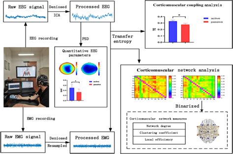 Provides An Overview Of The Study After Preprocessing The Download Scientific Diagram