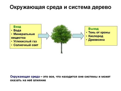 Система и окружающая среда презентация онлайн