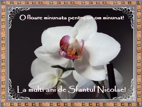 Mesaje Frumoase De Sfantul Nicolae Timp Liber
