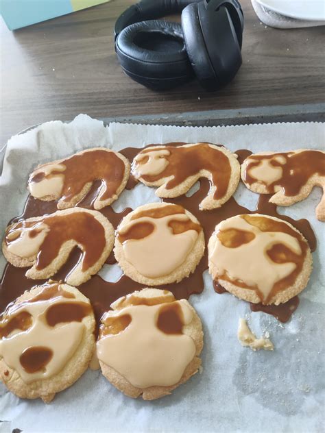 An Attempt Was Made Here To Makes Sloth Buiscuits Rbakingfail