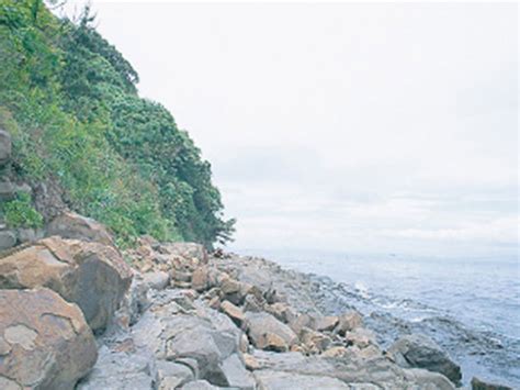 小島自然海浜 公式岬町観光協会