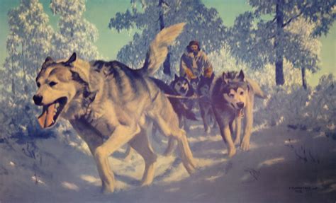 The Art Of Fred Machetanz