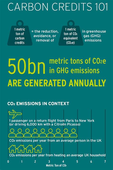 Voluntary Carbon Markets