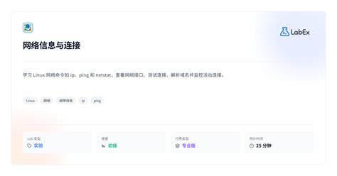 Linux 网络故障排查：ip、ping 和 Netstat Linux 教程 Labex