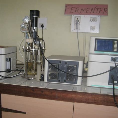 Pdf Model Identification And Agitator Speed Optimization For Bioreactor Using Soft Computing