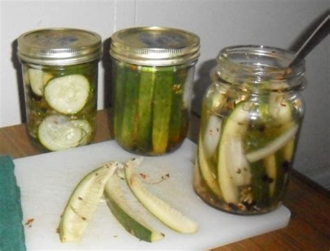 Backyard Patch Herbal Blog Refrigerator Pickles Weekend Recipe