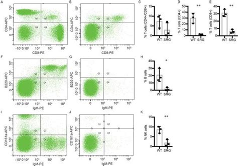 Cd4 Monoclonal Antibody Ox35 Super Bright™ 600 63 0040 82