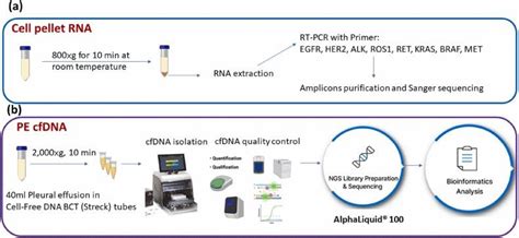 Enhanced Detection Of Actionable Mutations In Nsclc Through Pleural… Sze Yuan Yang