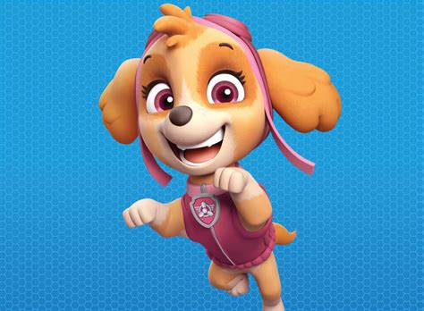 Chase Skye Paw Patrol Cuộc Hành Trình Anh Hùng Của Nhóm Paw Patrol