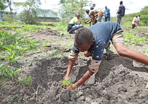 The Country That Declared A National Holiday To Plant 100 Million Trees