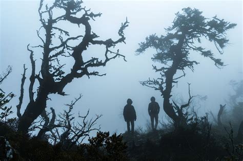 Fotos De Siluetas Exploracion Naturaleza 65 000 Fotos De Stock