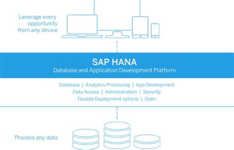 Sap Hana