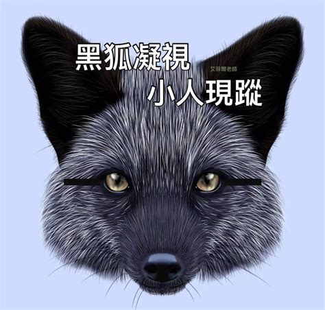 塔羅牌老師艾菲爾 禍從口出！立夏之際小心『口舌紛爭』生肖點名 56立夏來臨，天氣漸漸會讓人熱得難受，加上水星丶冥王星逆行中，與身邊的人互