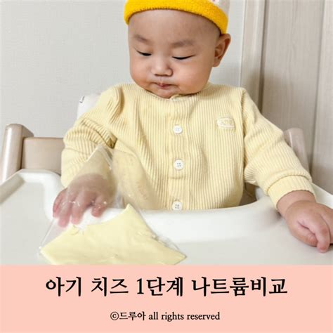 6개월 7개월 간식 첫 아기치즈 1단계 언제부터 상하목장 덴마크 드빈치 앙팡 나트륨 비교 네이버 블로그