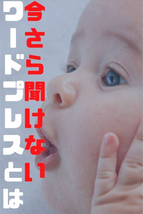 今さら聞けない！wordpressとは？web制作のプロが解説！！ 解説 ブログ 図解
