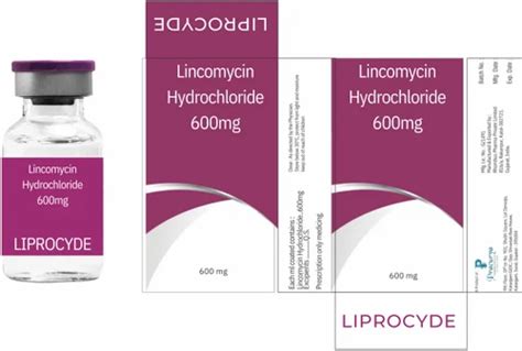 Lincomycin Hydrochloride 600mg At ₹ 270piece Lincocin Injection In