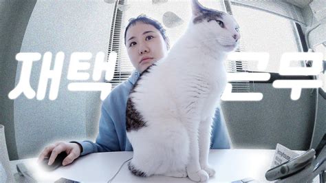 재택근무 운동 술 빙빙 돌아가는 직장인 브이로그 ㅣ 연맥 연태고량주 소주 술먹방 골뱅이탕 냉모밀 돈까스 두부강정 집밥 요리