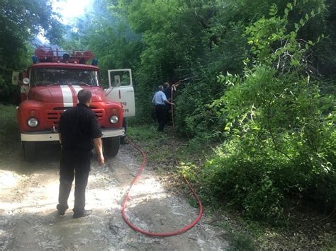Запалиха от няколко места Ботев парк в Козлодуй Пожарникари от АЕЦ общинари и граждани се