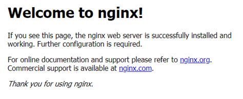 Installer Nginx På Ubuntu 1804 It Bloggerdk