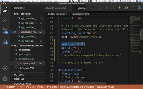 Flutter Provider 的基本使用哔哩哔哩bilibili