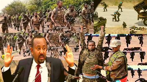 Daawo War Cusub Dagaalkii Itoobiya 3 Magaalo Oo La Iskujabay Laguna