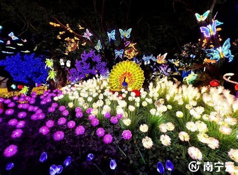 夜游“昆虫”世界！青秀山风景区“南宁夜花园”活动8月1日启幕中国南宁