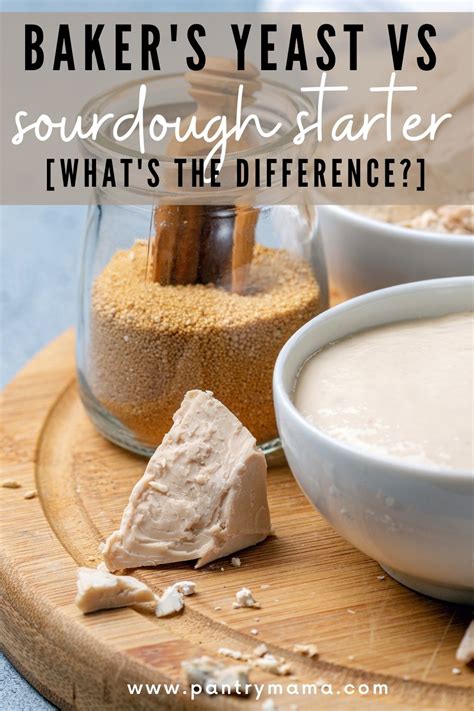 Yeast Vs Sourdough Starter Whats The Difference The Pantry Mama