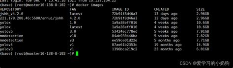 如何使用docker构建目标检测算法的运行环境目标检测docker Csdn博客