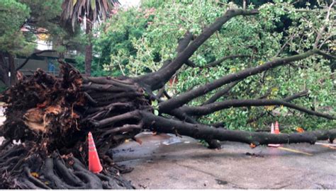 Tras Las Cancelaciones Y Demoras De Vuelos Por El Mal Clima Las