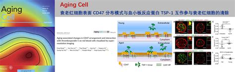 吉林大学器官再造与移植教育部重点实验室
