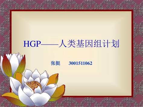 Ppt Hgp—— 人类基因组计划 Powerpoint Presentation Free Download Id 679281