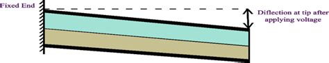 Tip Deflection After Applying Voltage Download Scientific Diagram