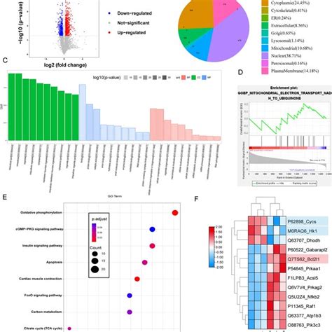 Proteomics Analysis Between LR And MR Group A Volcano Plot Of The Download Scientific Diagram