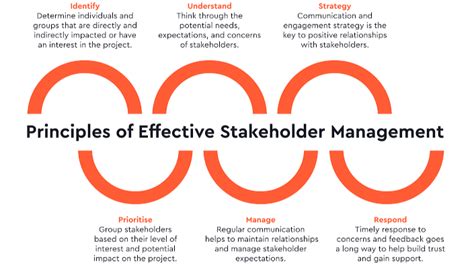 Effective Stakeholder Management Strategies For Success