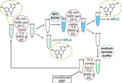 Schematic Representation Of The Extraction Of Aoh From Sodium Tartrate