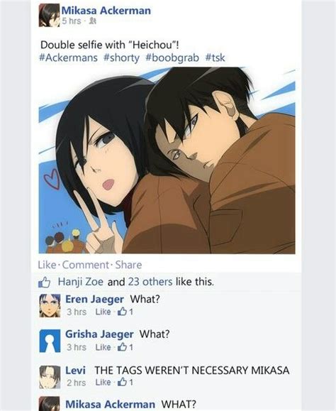 Pin By ♚ Captain Mikasa Ackerman ♚ On Mikasa And Levi Rivamika