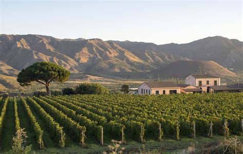 Dimora Cottanera Soggiorno In Vigna In Sicilia